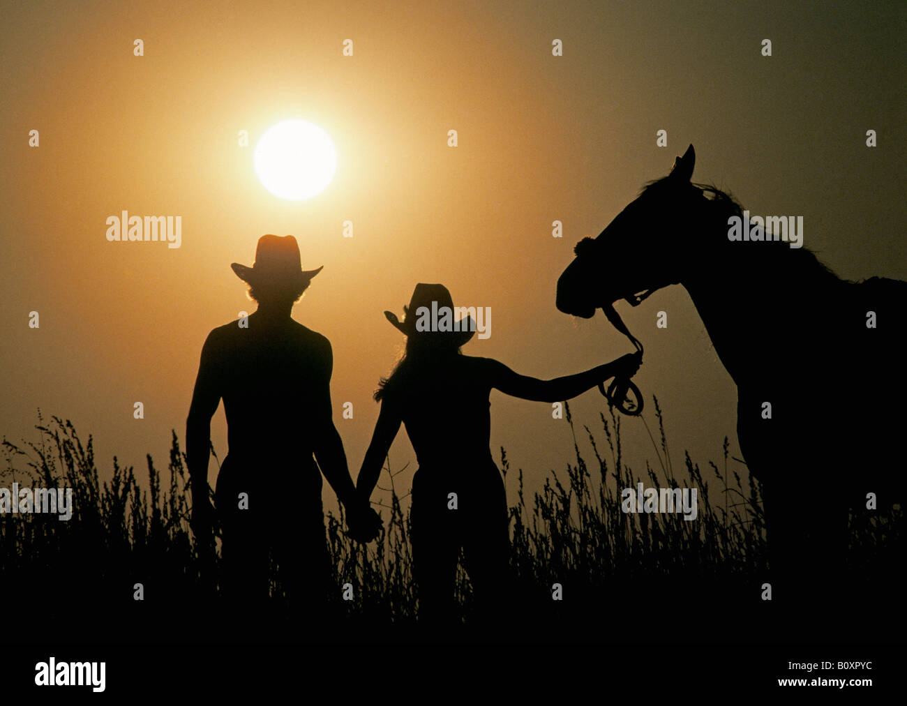 Sunset ranch horse riding california hi-res stock photography and ...