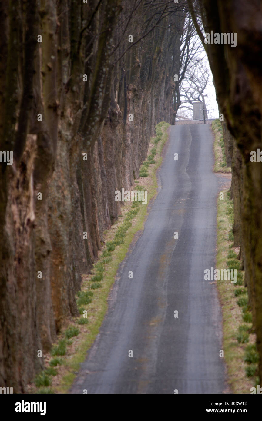 Long narrow gravel road hi-res stock photography and images - Alamy