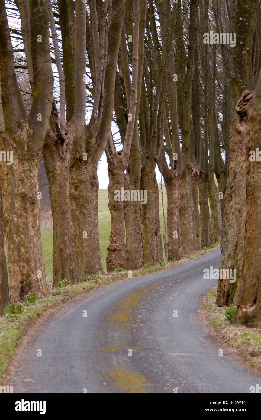 Long narrow gravel road hi-res stock photography and images - Alamy