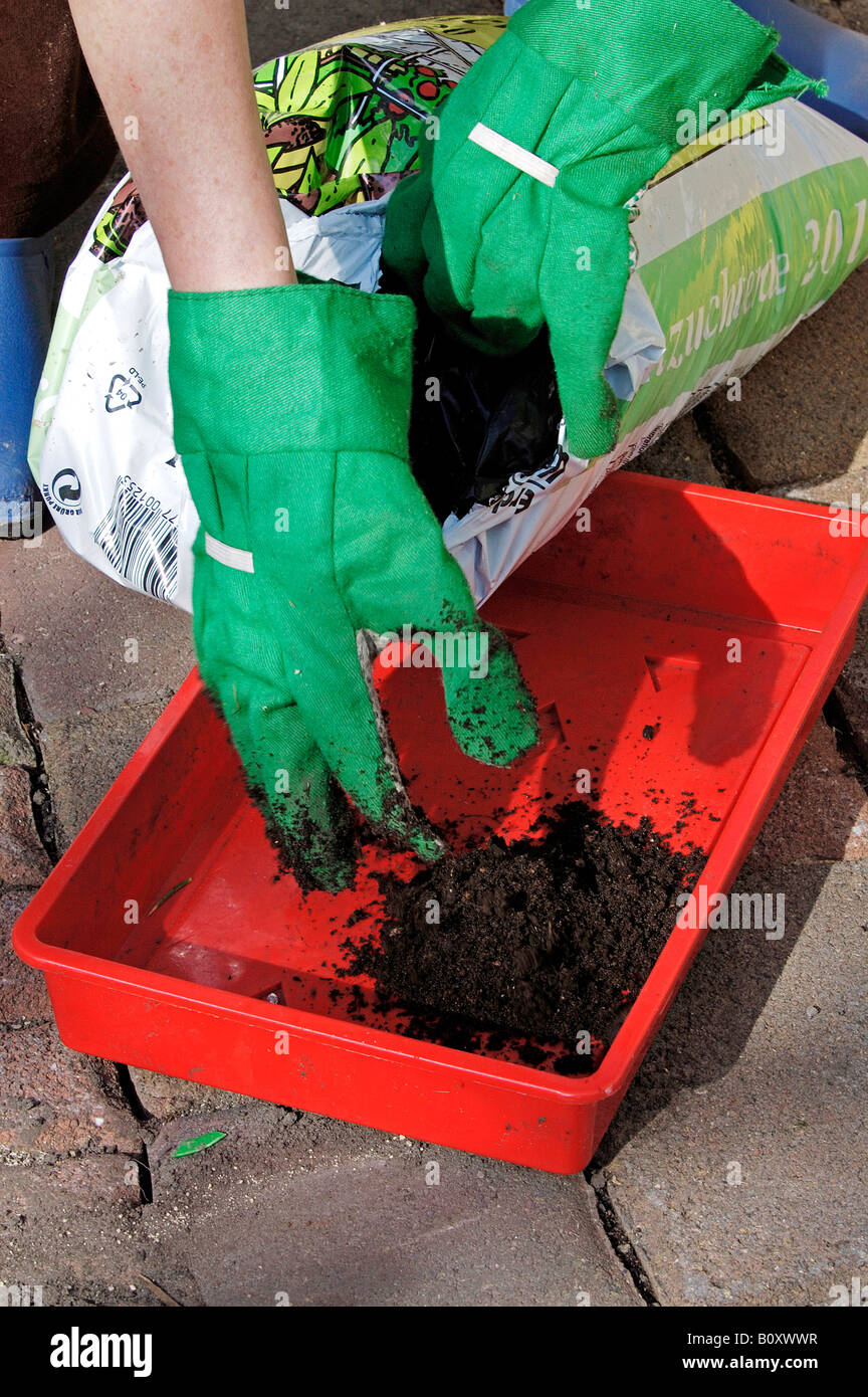 Filling In Potting Soil High Resolution Stock Photography and Images ...