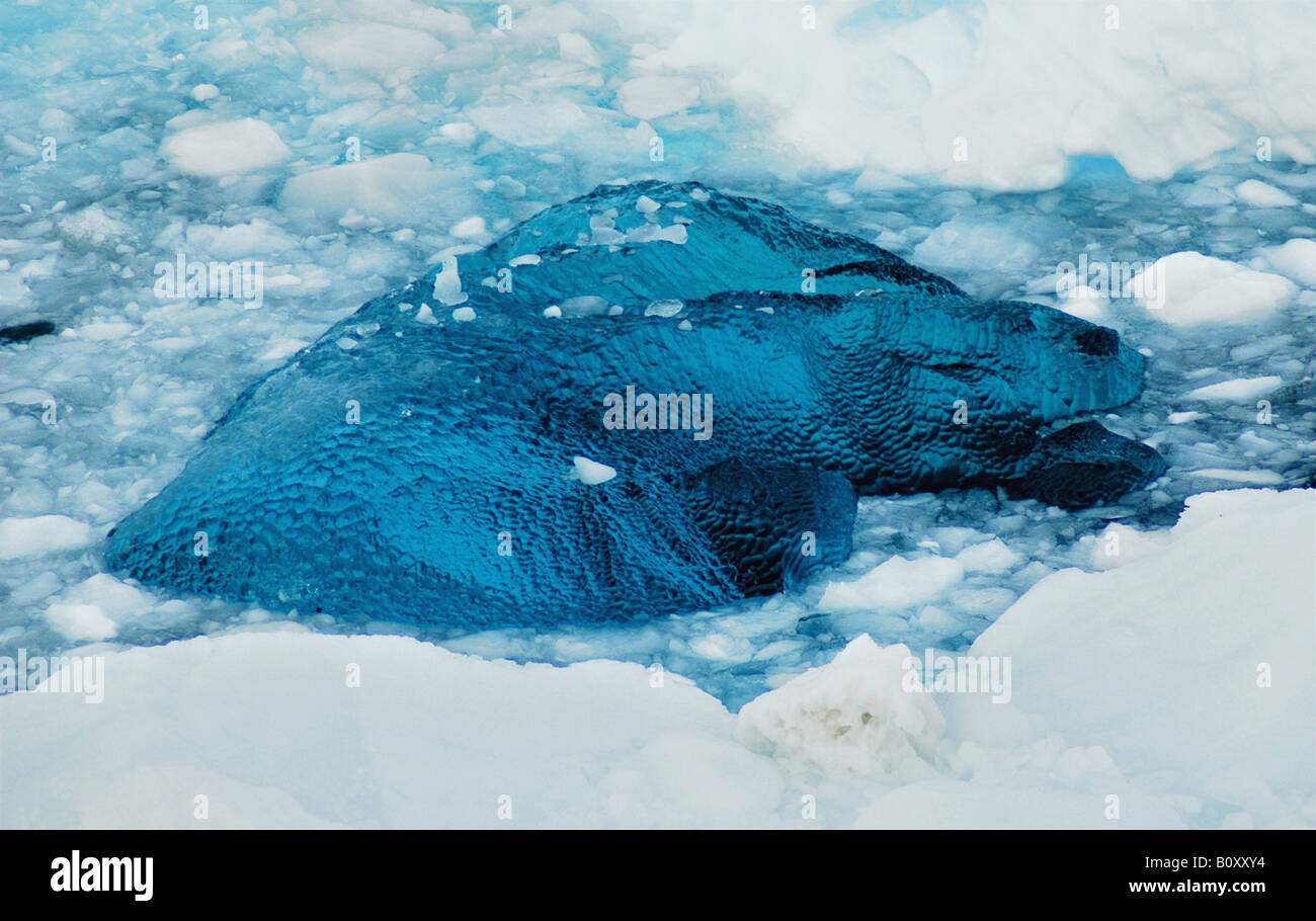 Arctic ocean pack ice sea pattern hi-res stock photography and images ...