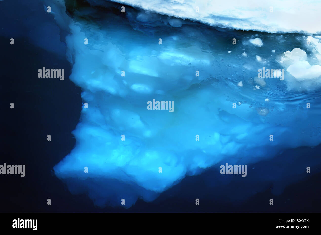Underwater polar expeditions hi-res stock photography and images - Alamy