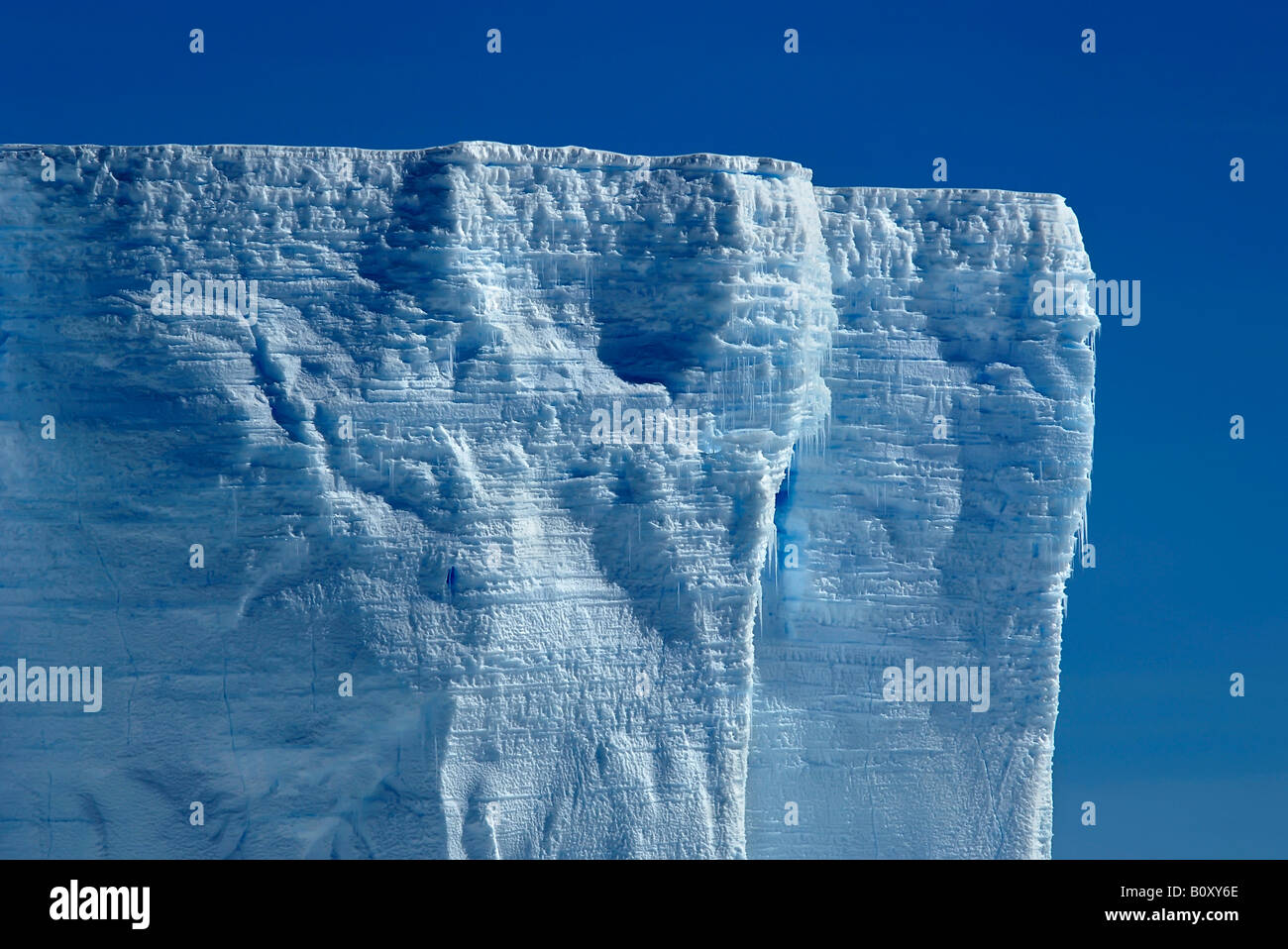 iceberg wall in Antarctica, Antarctica, Suedpolarmeer Stock Photo - Alamy