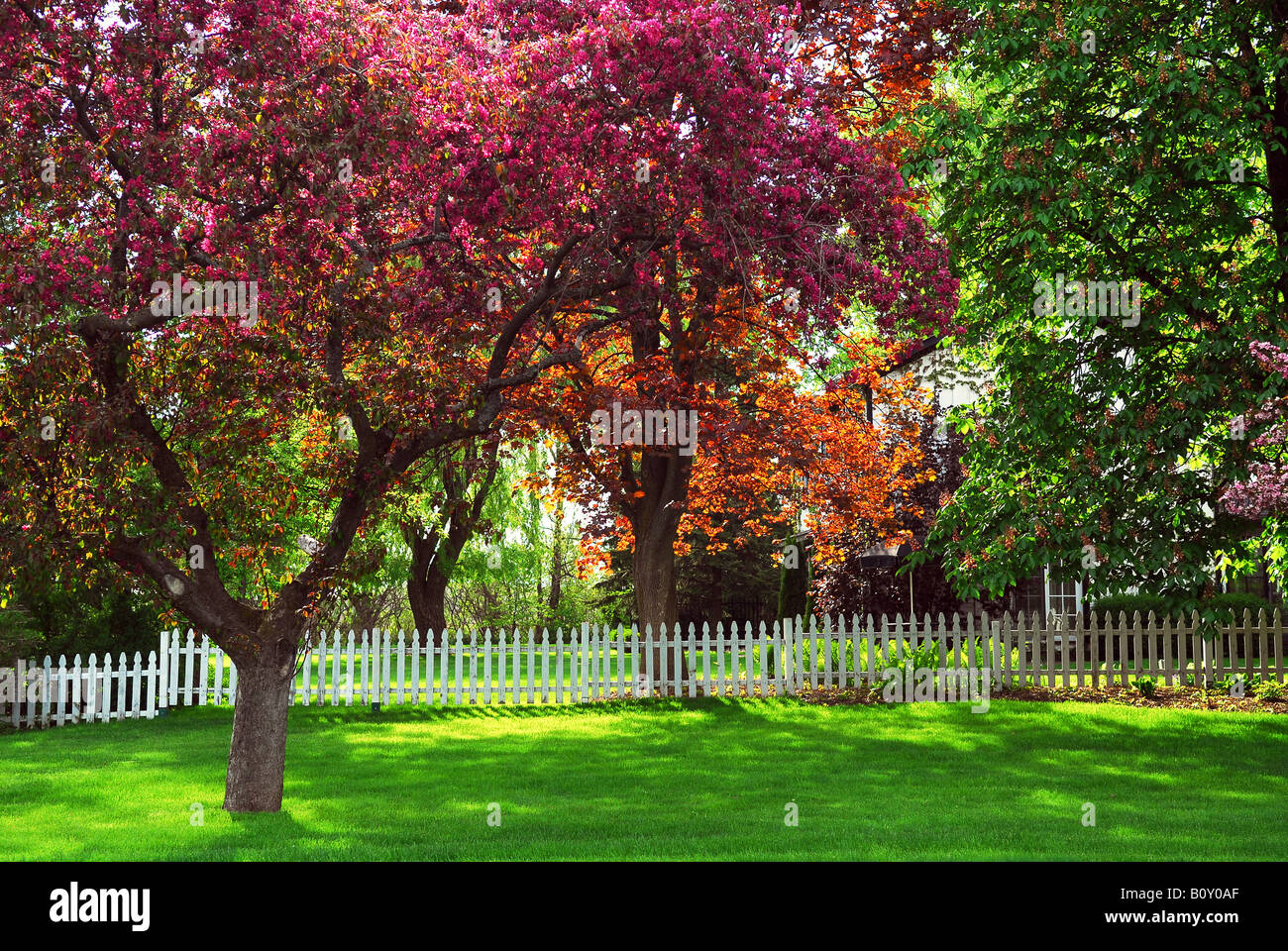 Peace picket hi-res stock photography and images - Alamy
