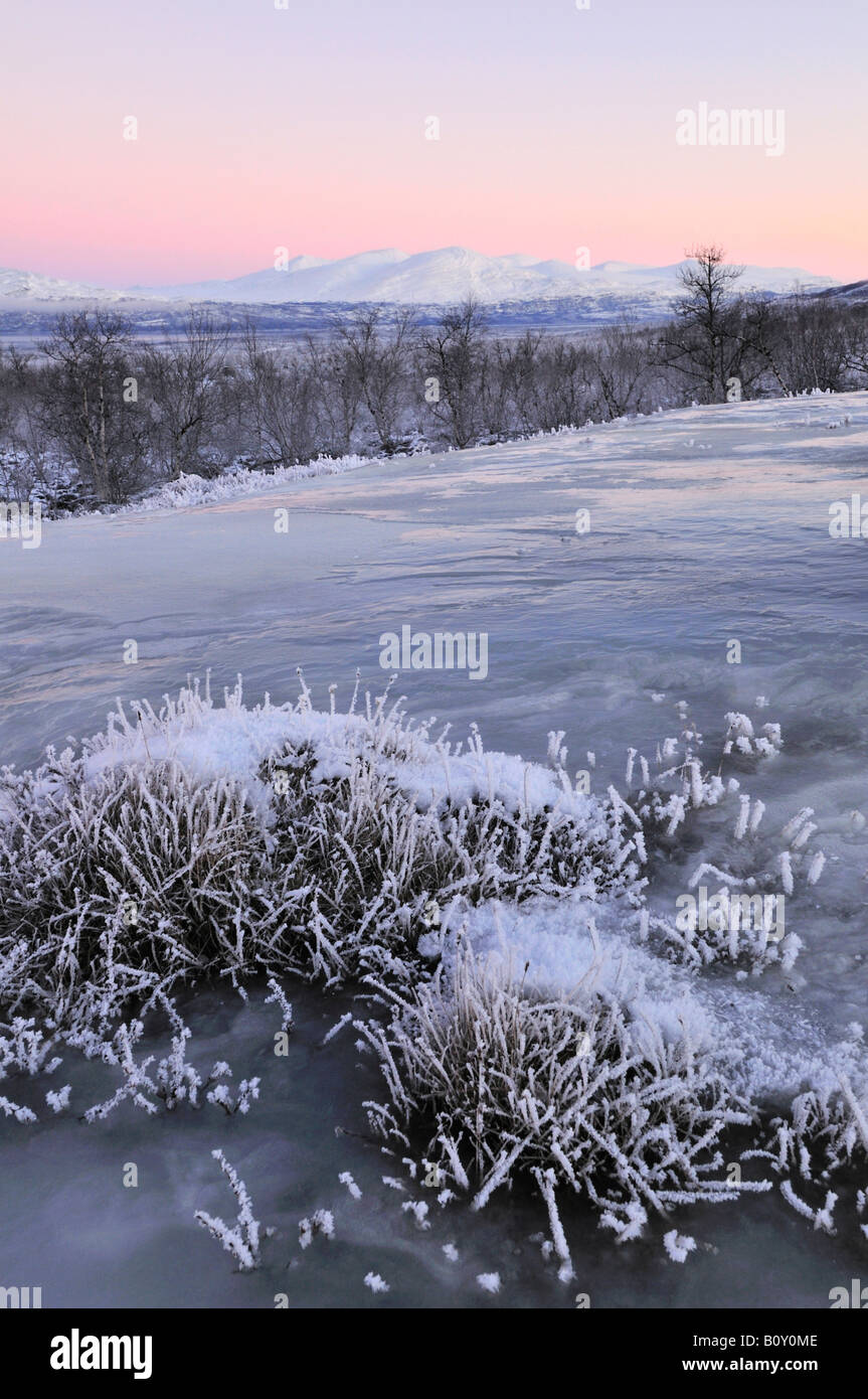 winter landscape at Abisko, Sweden, Lapland, Norrbotten Stock Photo - Alamy