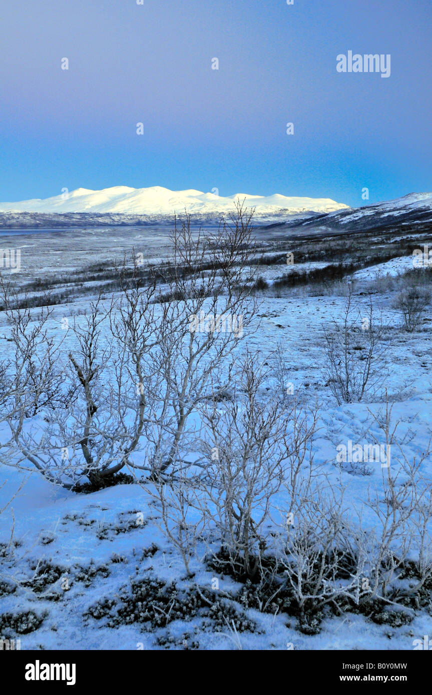 winter landscape at Abisko, Sweden, Lapland, Norrbotten Stock Photo - Alamy