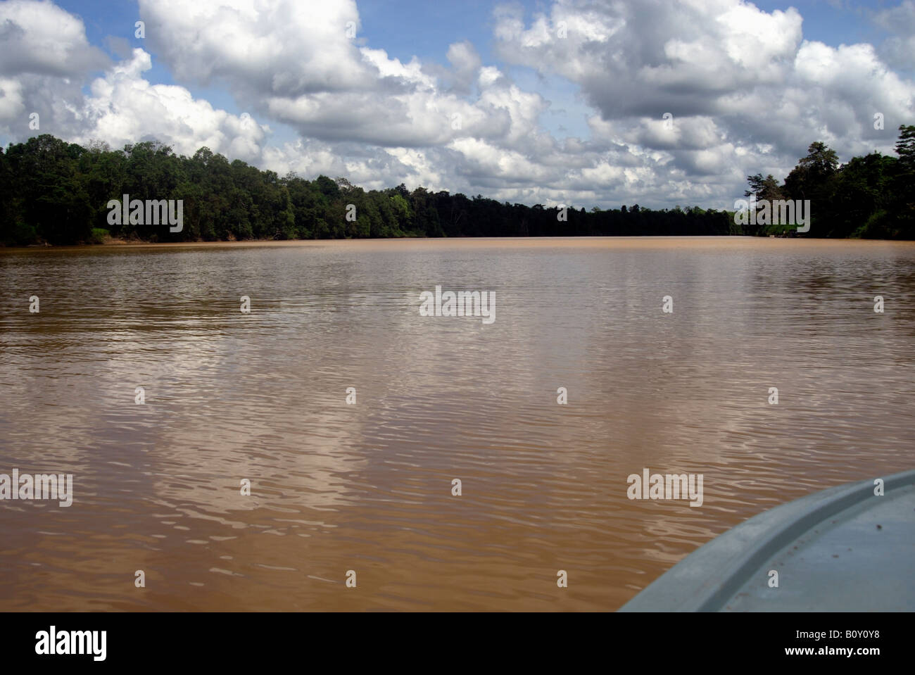 Kinabatangan river sabah borneo hi-res stock photography and images - Alamy