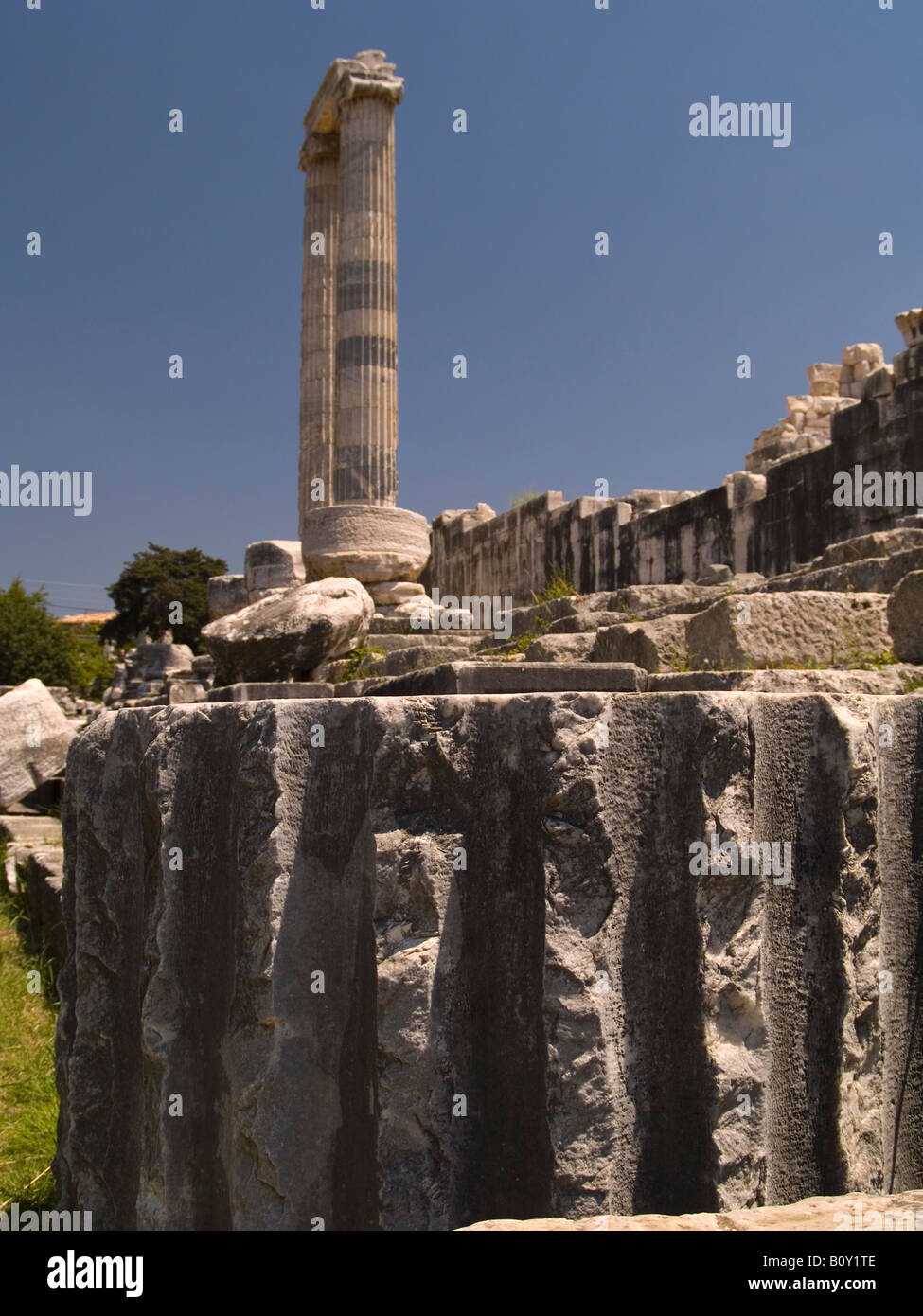 Columns of the Temple of Apollo, Didim, Turkey Stock Photo - Alamy