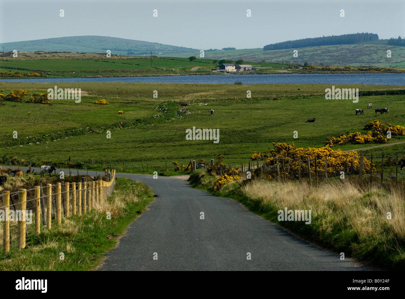 Bodmin Moor Dozmary Pool site of King Arthur and the Excalibur Cornwall ...