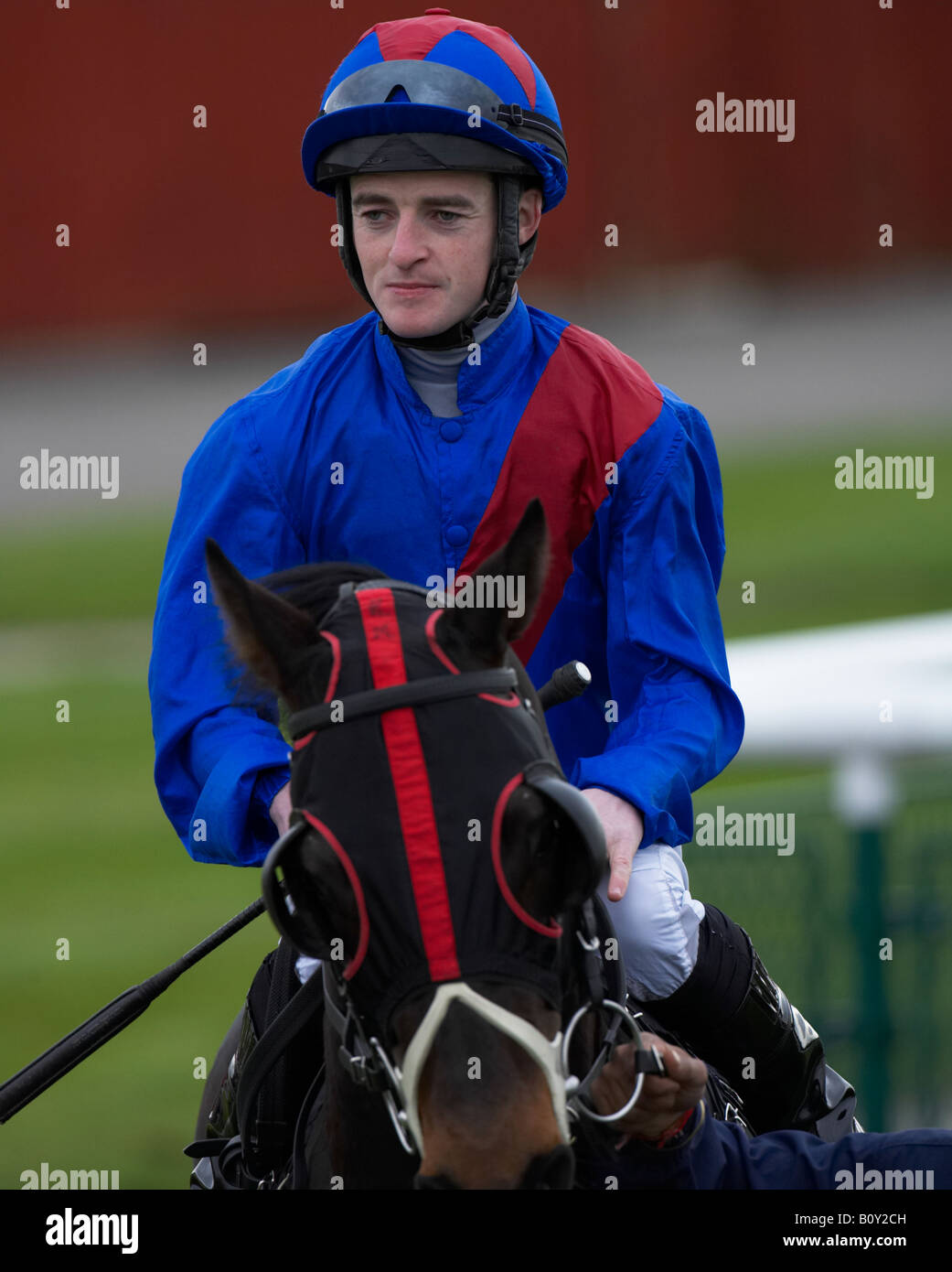 Horse racing jockey in the parade ring Stock Photo - Alamy