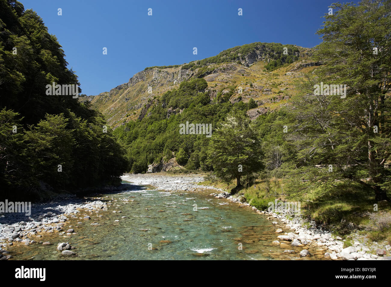 Caples River just above confluence with Greenstone River Caples and ...
