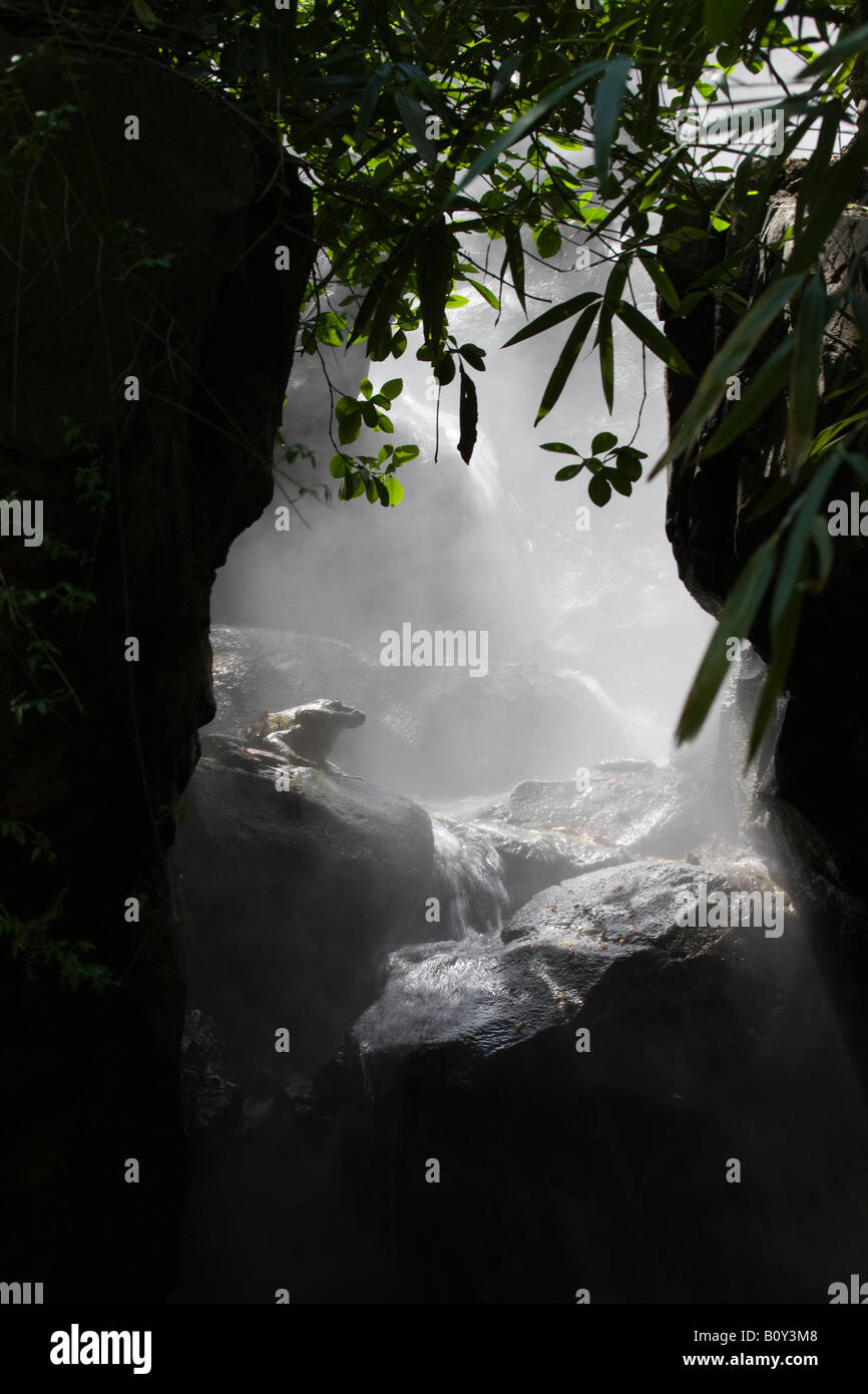 A large frog perches by a waterfall in mist in the Jungleworld exhibit ...