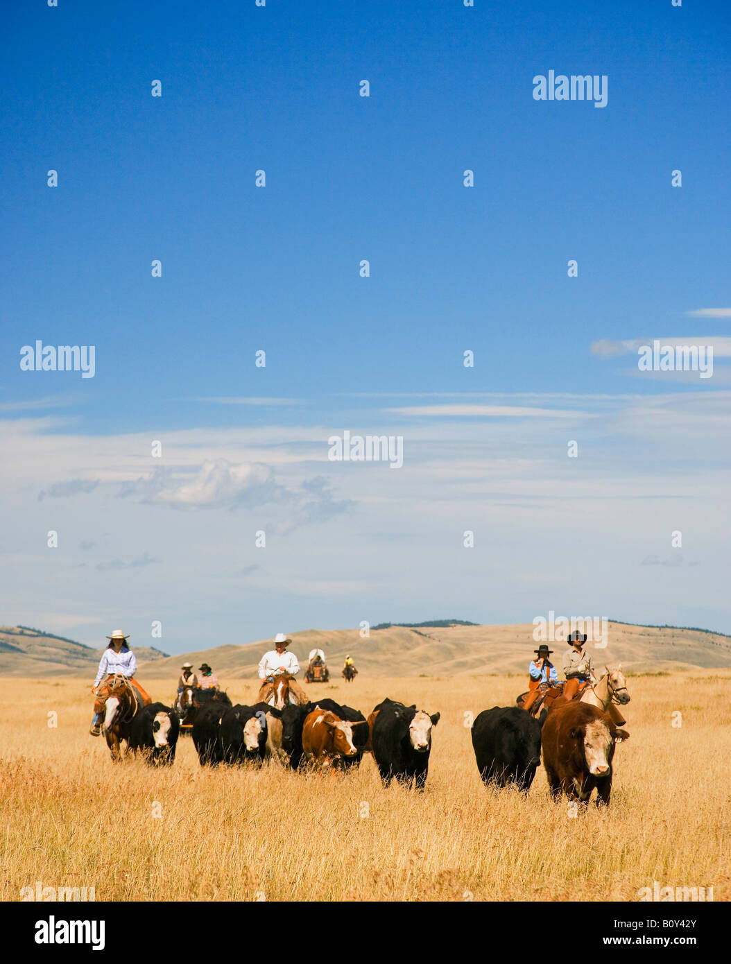 Cowboys on horseback Stock Photo - Alamy