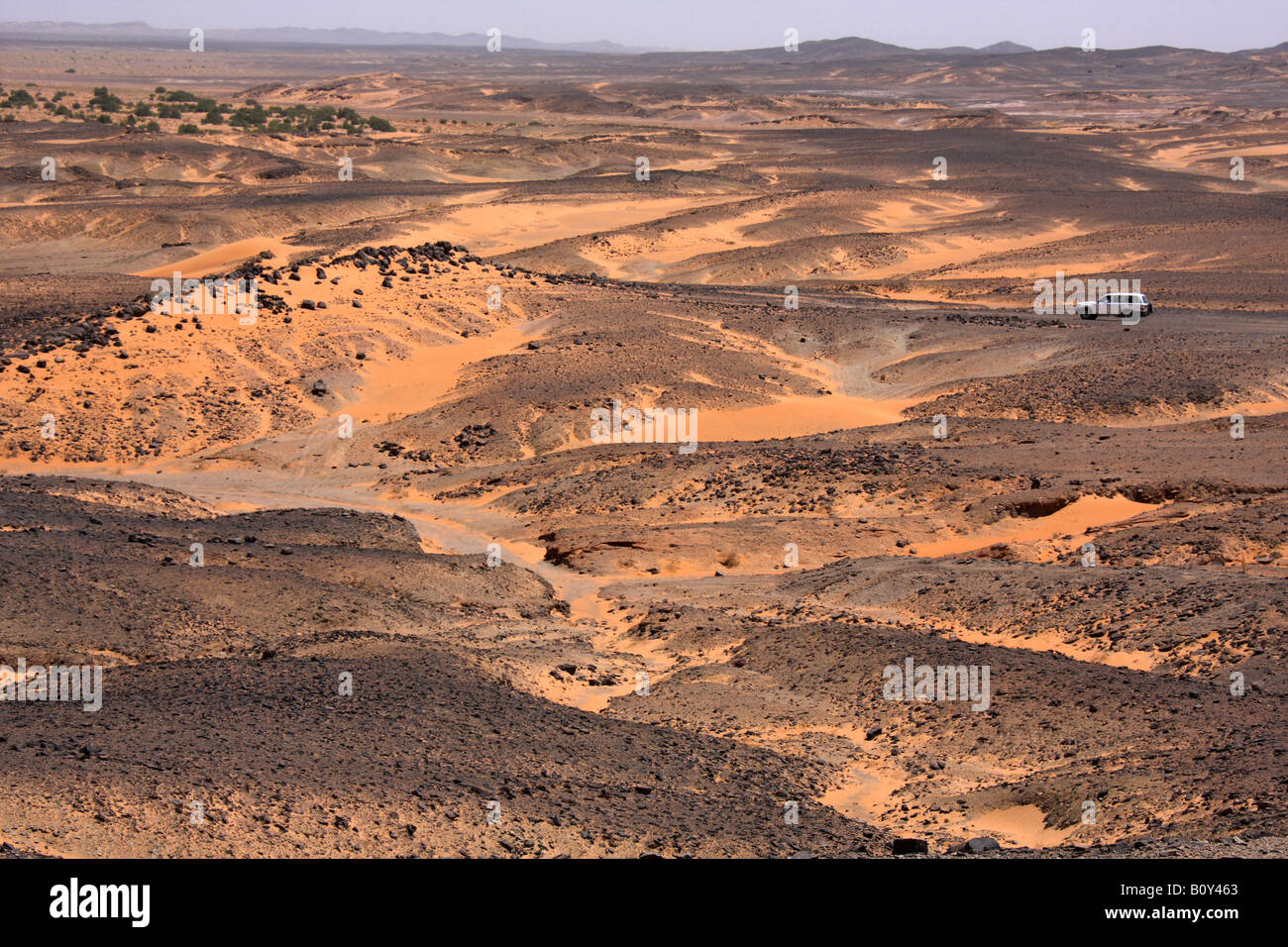 Hamada desert hi-res stock photography and images - Alamy