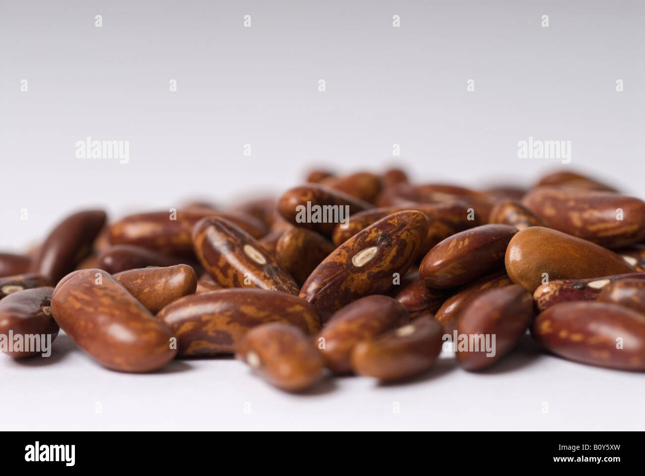 Stock photo of Haricot beans. The photo is shot against a white ...