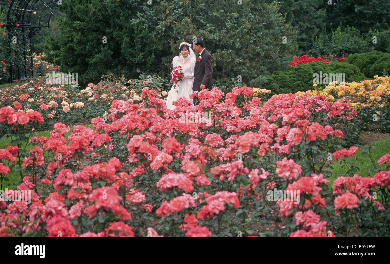 Montreal olympic park gardens hi-res stock photography and images - Alamy
