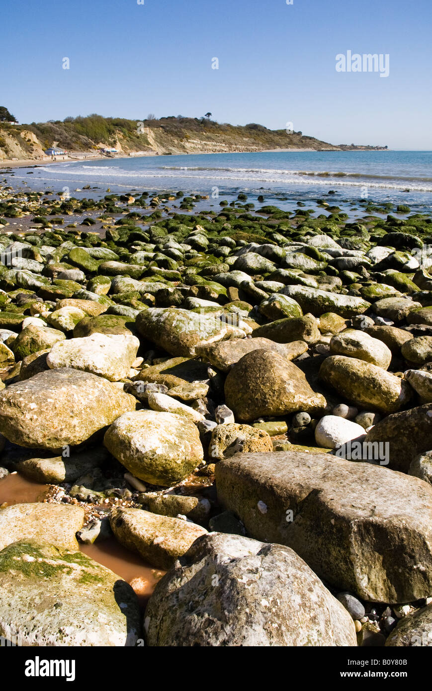 Whitecliff Bay beach on the Isle of Wight Stock Photo - Alamy