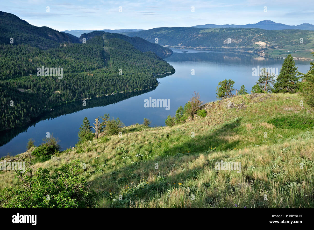 Kalamalka Lake Provincial Park near Vernon British Columbia Stock Photo ...