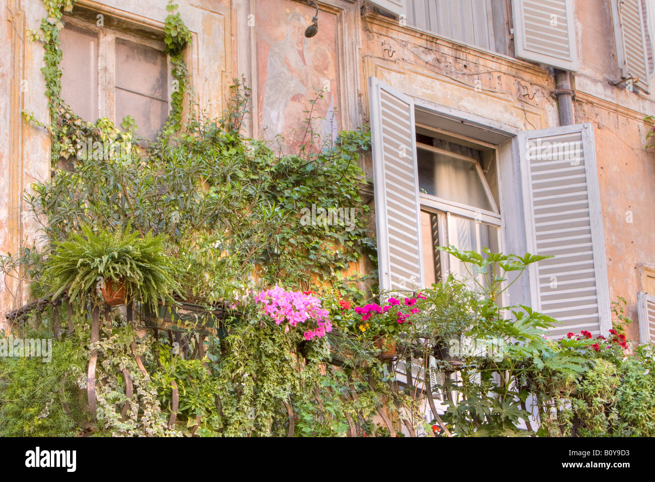 Shuttered window with potted flowers Rome Italy Stock Photo - Alamy