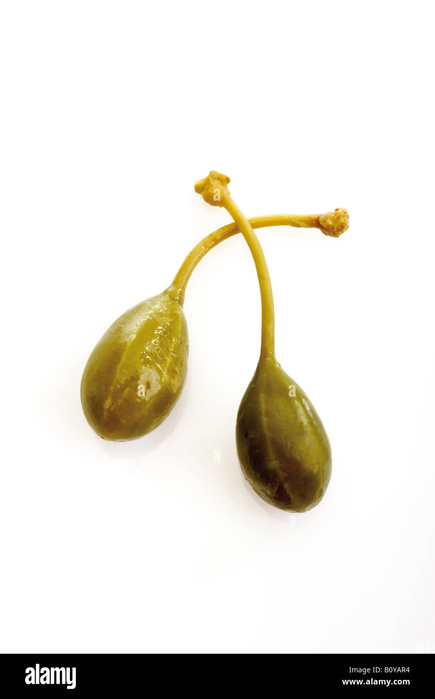 Caper fruit (Capparis spinosa Stock Photo - Alamy