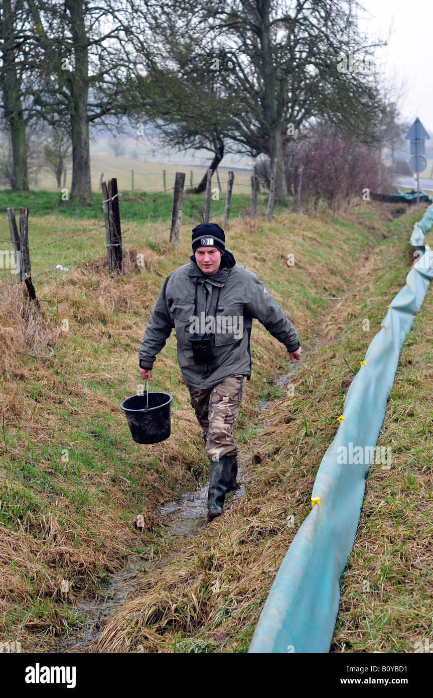 Walking along a toad hi-res stock photography and images - Alamy