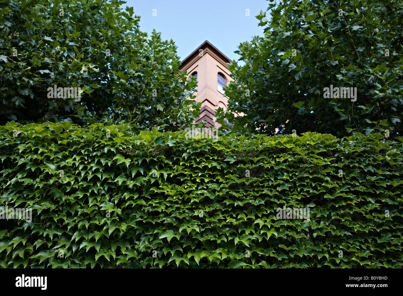 Looking in windows hi-res stock photography and images - Alamy