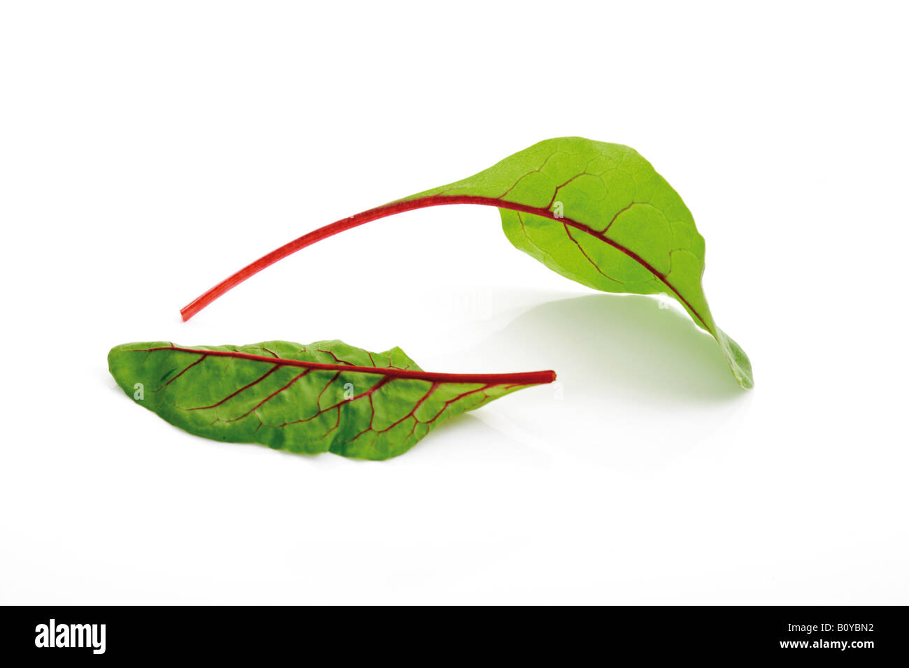 Mangold leaf hi-res stock photography and images - Alamy