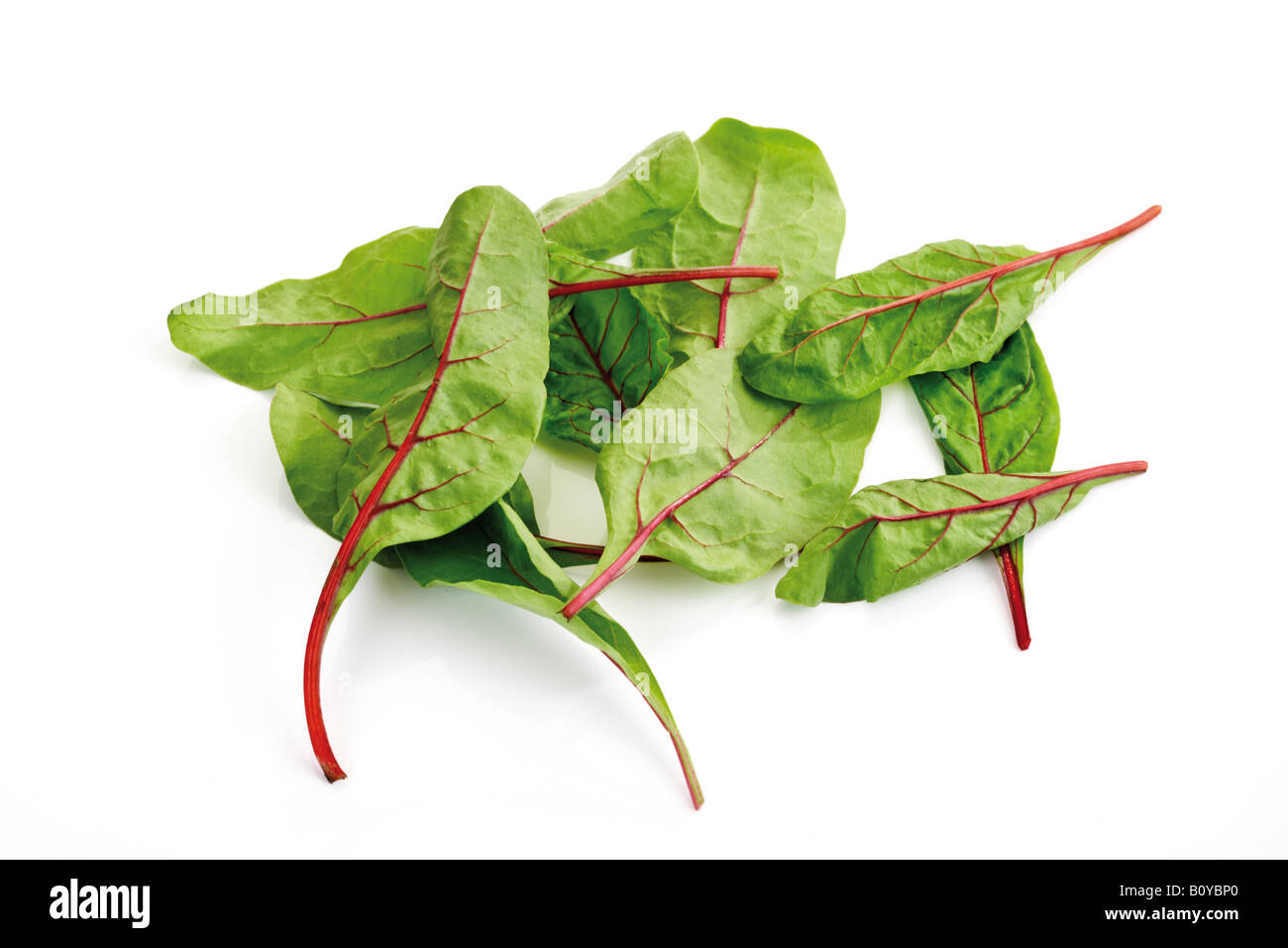 Mangold vegetable Cut Out Stock Images & Pictures - Alamy