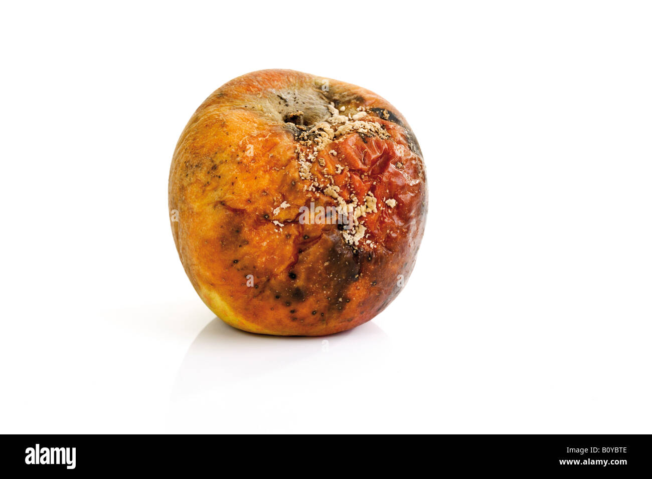 Moldy apple, close-up Stock Photo - Alamy