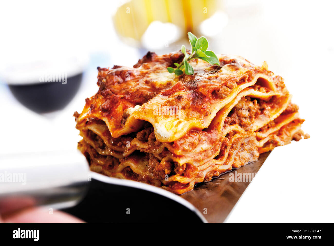 Piece of lasagna Stock Photo - Alamy
