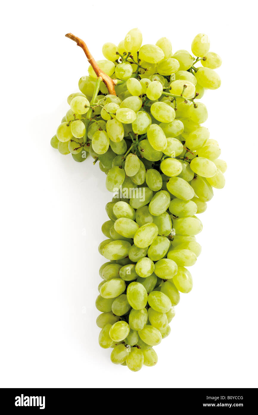 Green grape photo hi-res stock photography and images - Alamy
