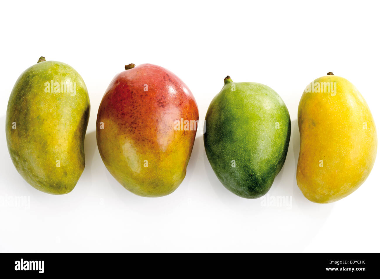 Four ripe mangos hi-res stock photography and images - Alamy