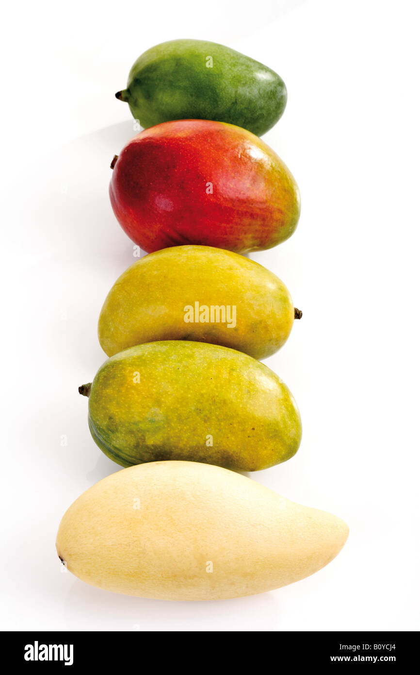 Mango ripeness hi-res stock photography and images - Alamy