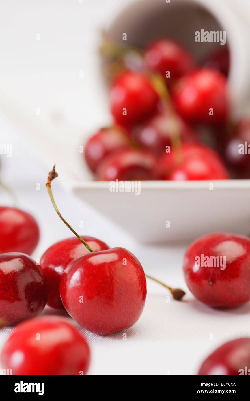 Plump cherries hi-res stock photography and images - Alamy