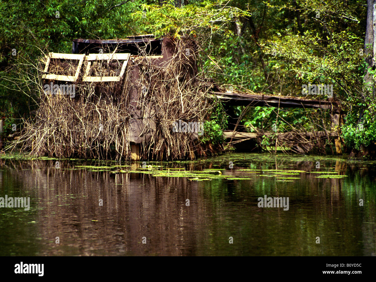 Everglades swamp hi-res stock photography and images - Alamy