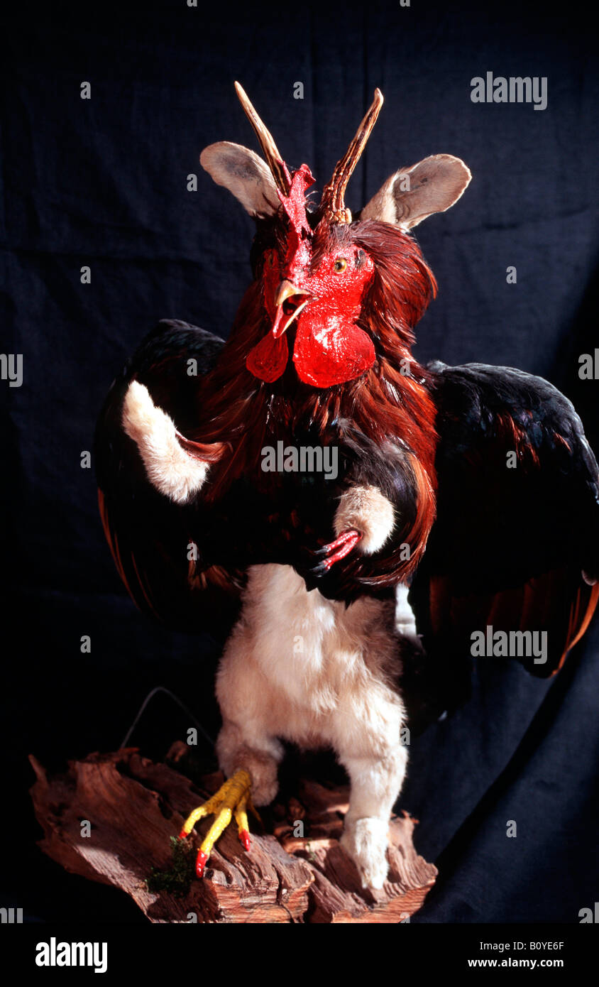 Wolpertinger, Bavarian fabulous creature, Detschland Stock Photo - Alamy