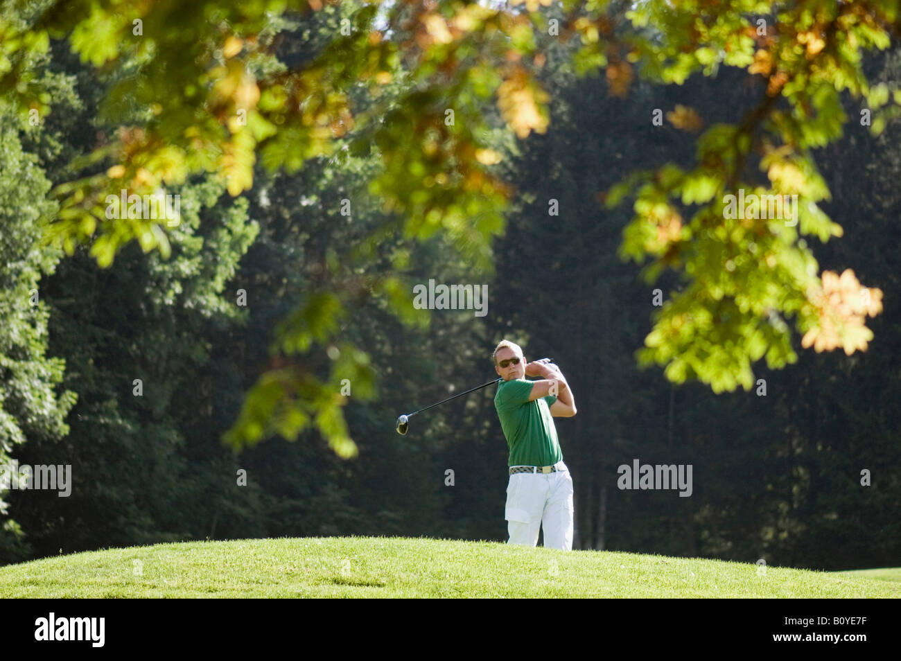 Golf player teeing off Stock Photo - Alamy