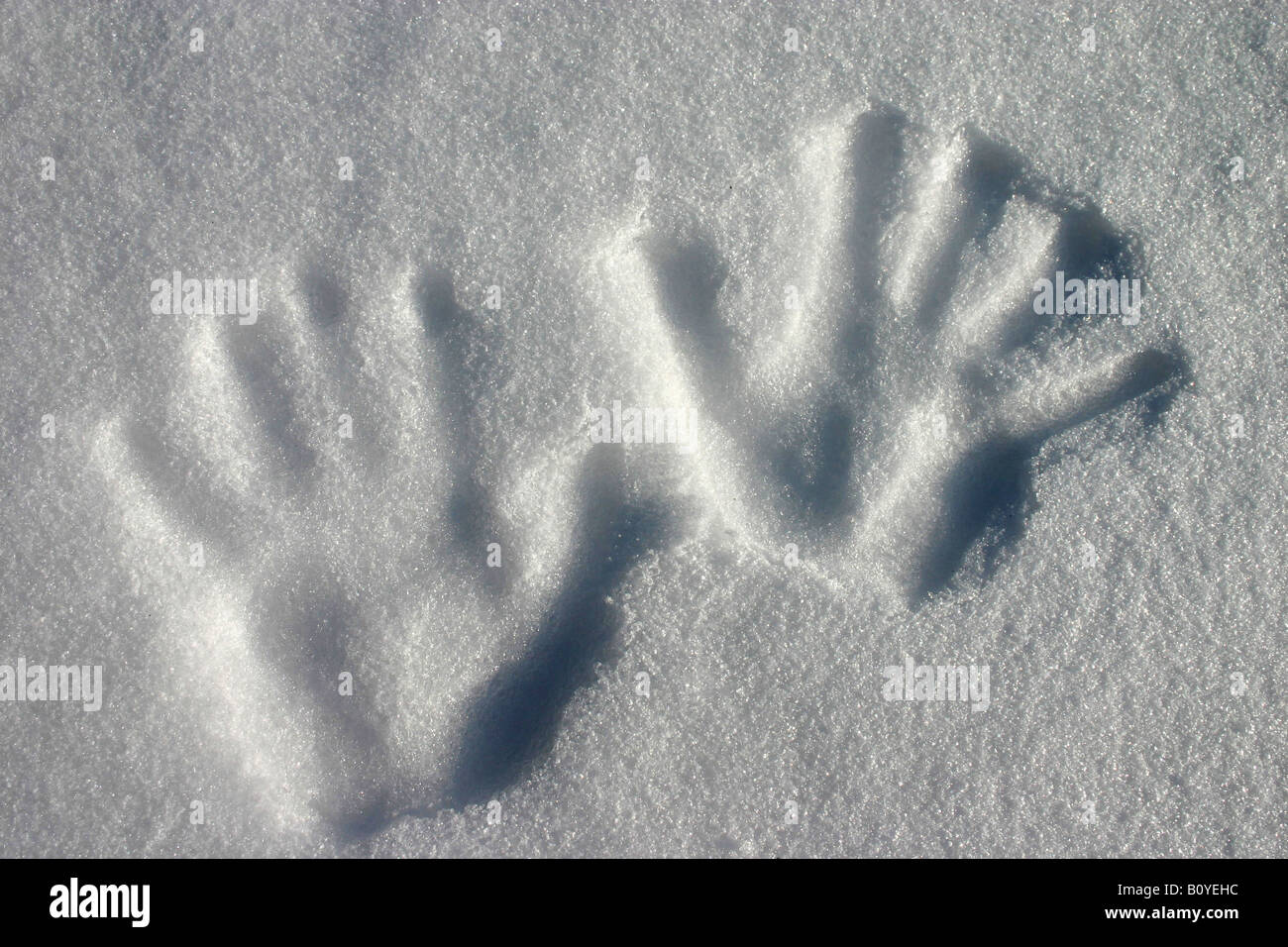 hand print in snow Stock Photo - Alamy