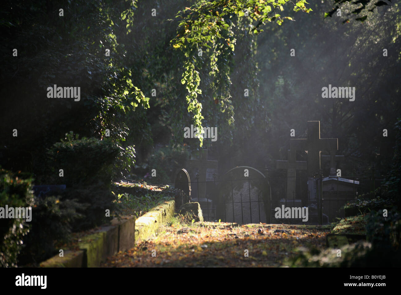 Morning mood at a graveyard hi-res stock photography and images - Alamy
