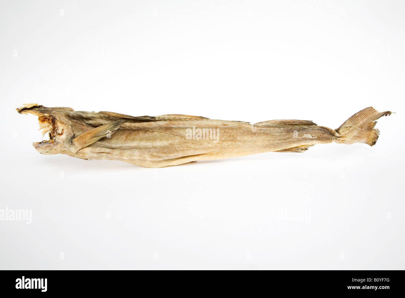 Durability photos hi-res stock photography and images - Alamy