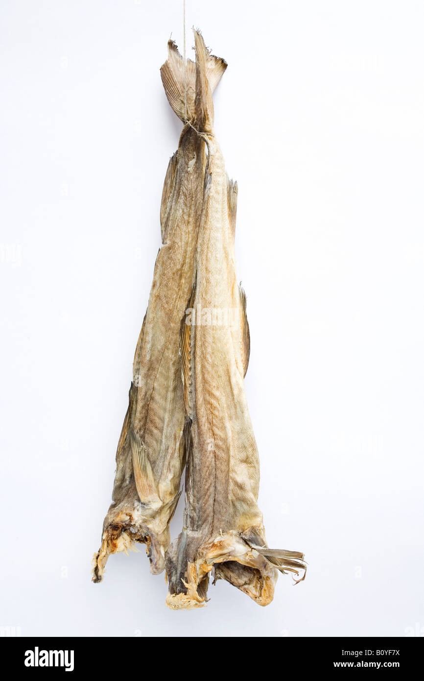 Durability photos hi-res stock photography and images - Alamy