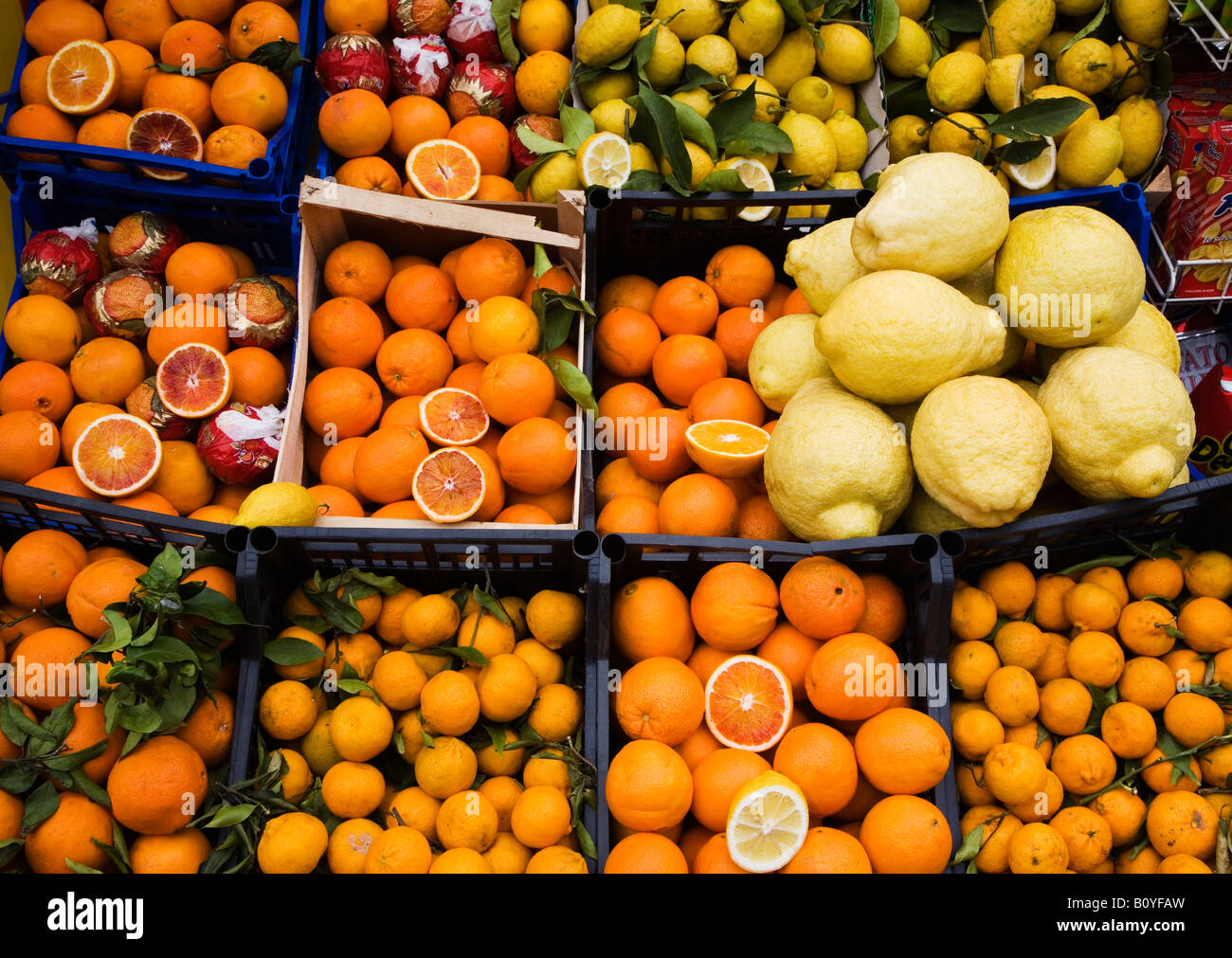Variety of citrus fruits, market stall, elevated view Stock Photo - Alamy