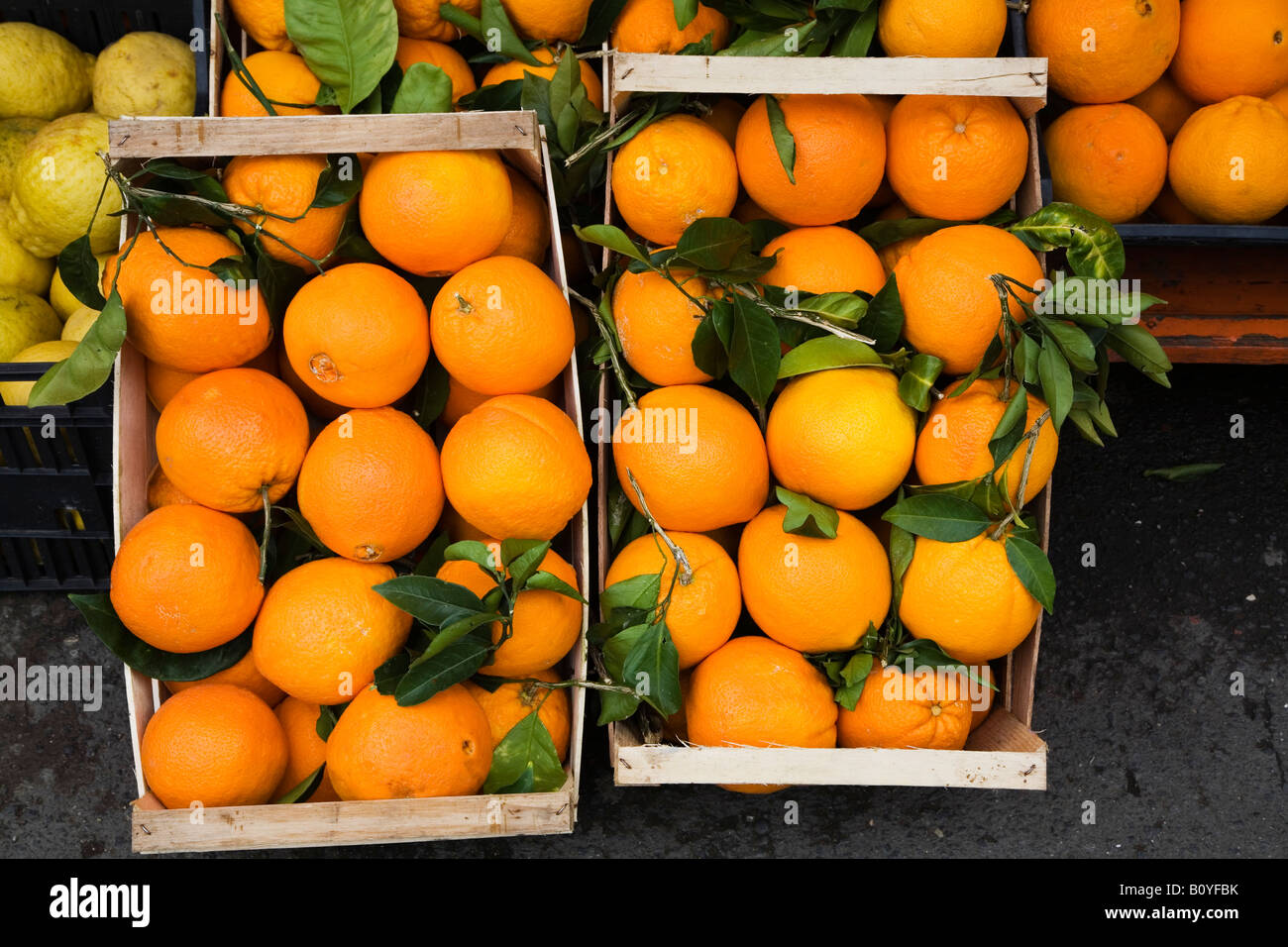 Oranges in crates, market stall, elevated view Stock Photo - Alamy