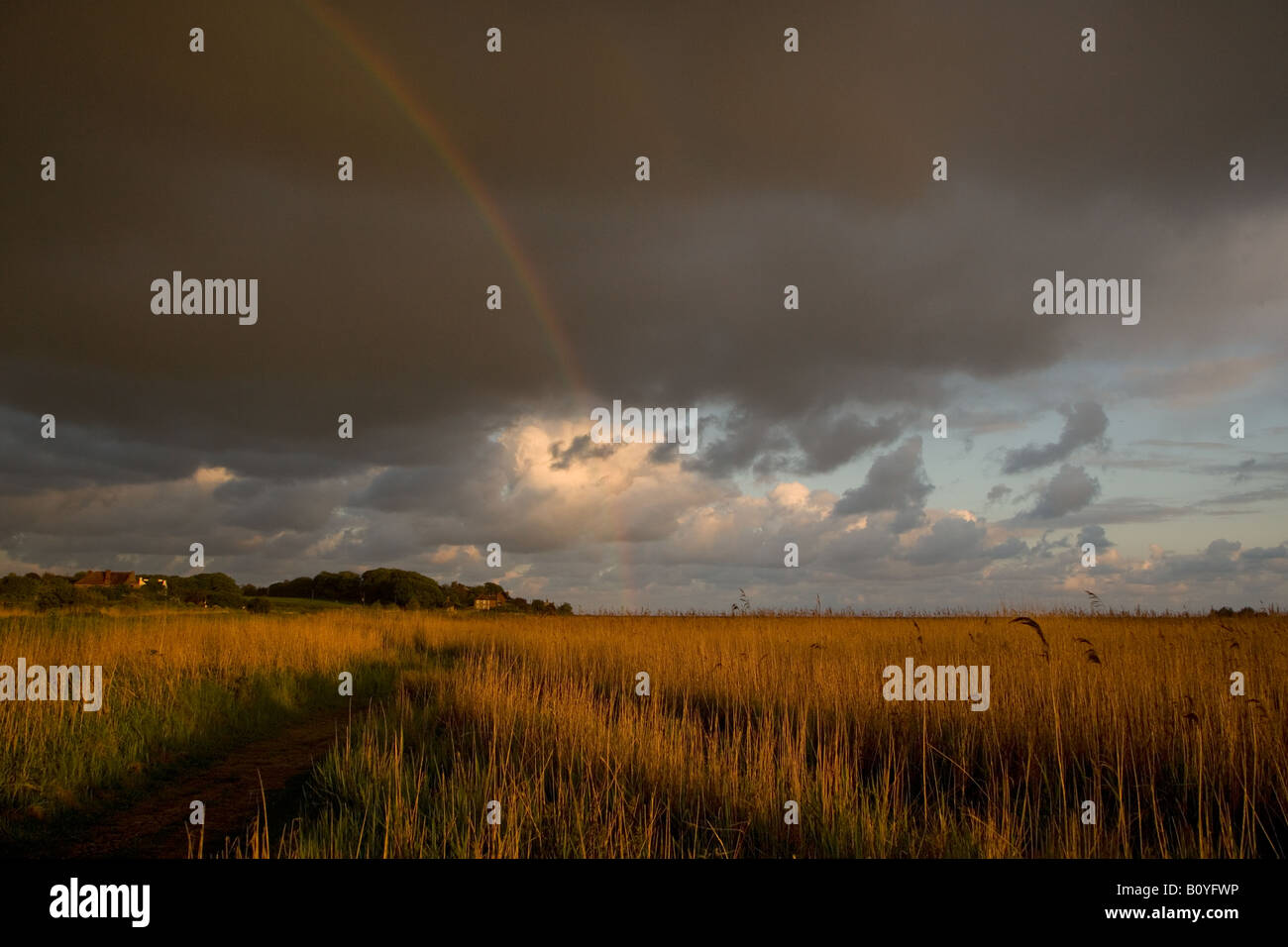 Cley Marshes Nature Reserve on the North Norfolk coast Stock Photo - Alamy