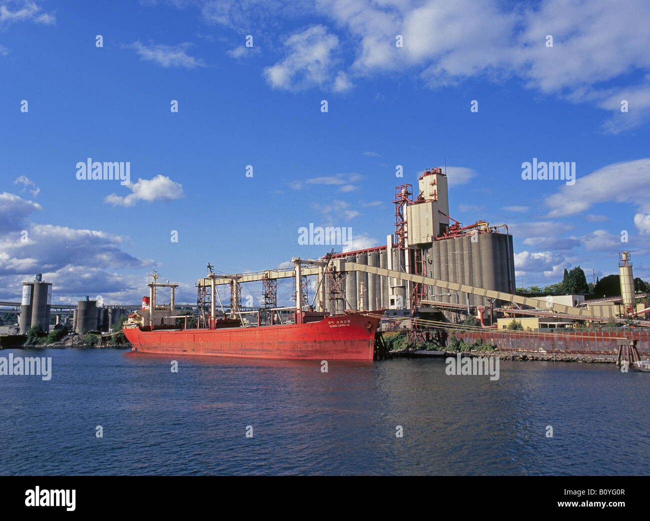 A large sea going grain carrying freighter picks up a load of wheat at ...