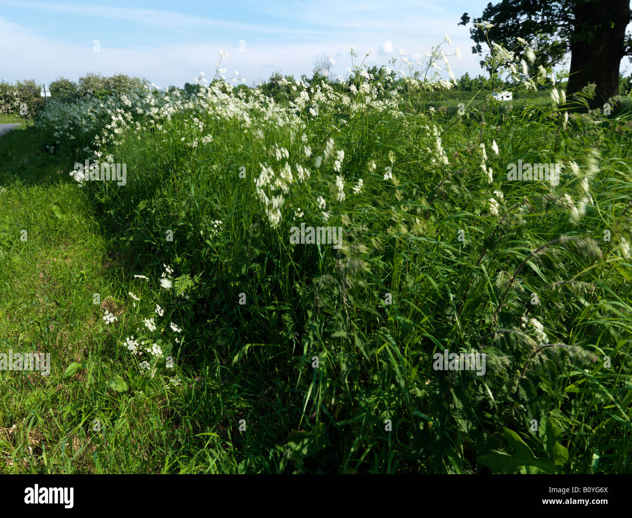 Merstham in surrey hi-res stock photography and images - Alamy