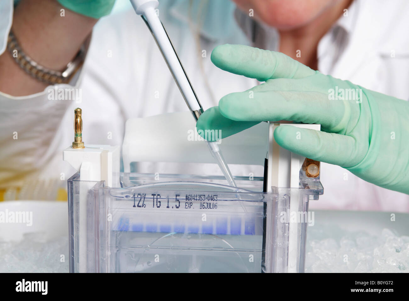 Genetic engineering humans hi-res stock photography and images - Alamy