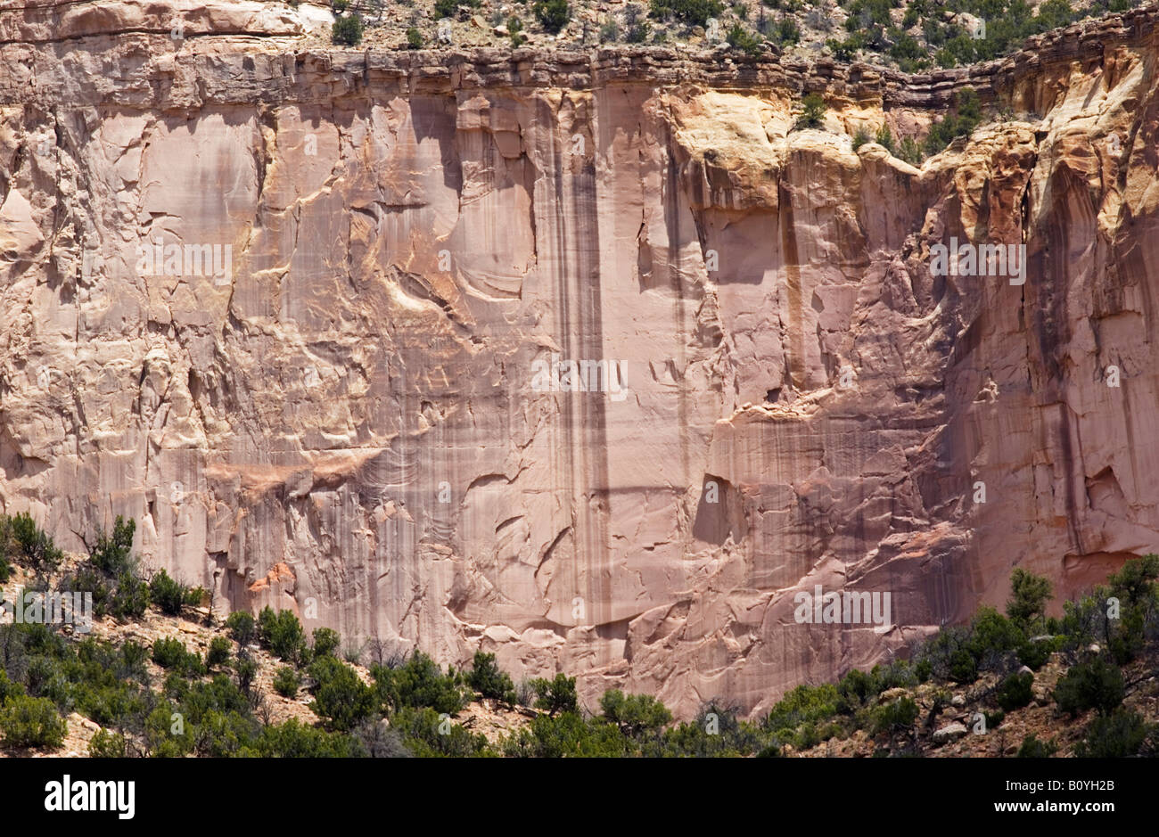 Rock face Chama River Stock Photo - Alamy