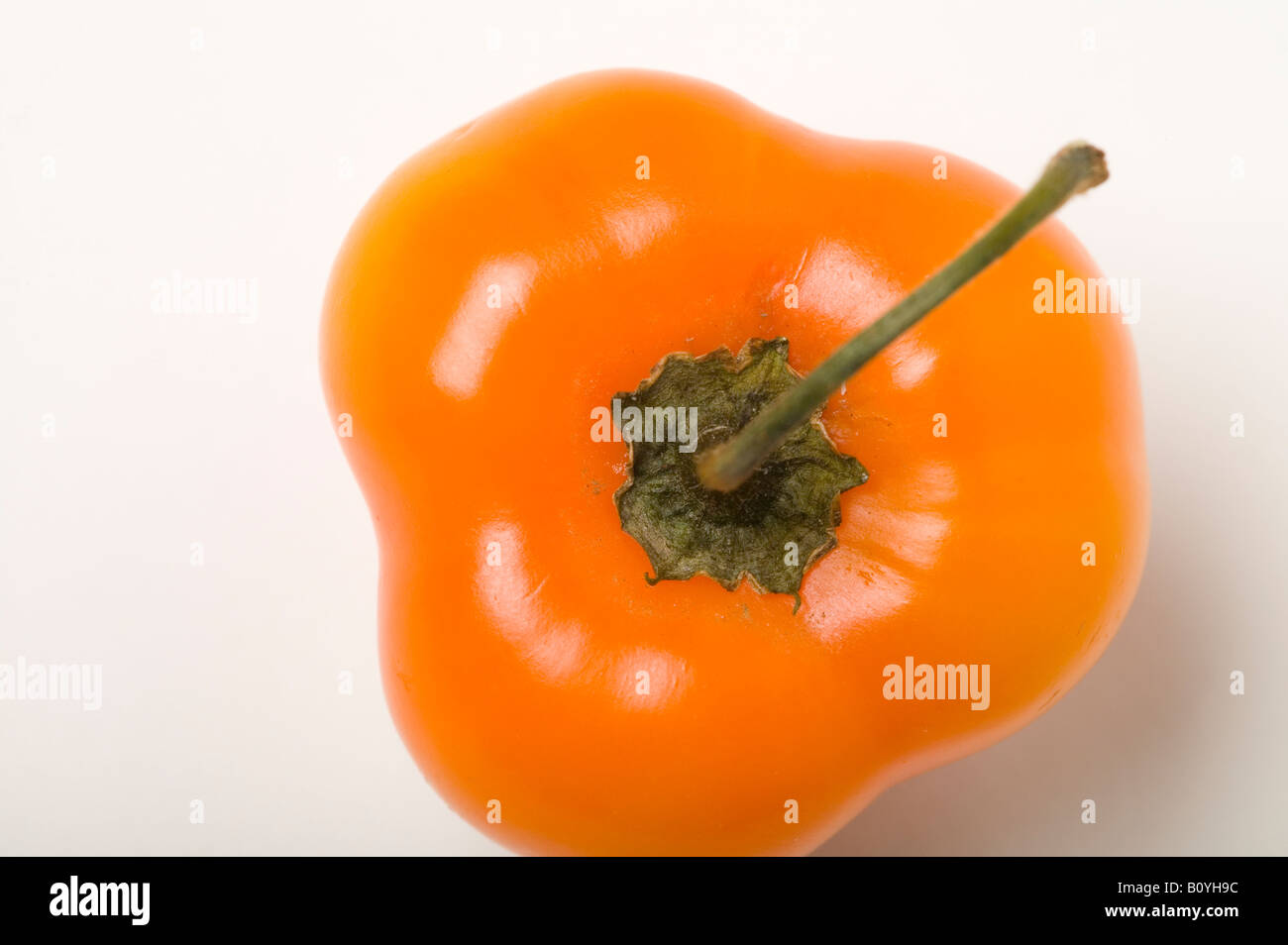 Manzano chili pepper Stock Photo - Alamy