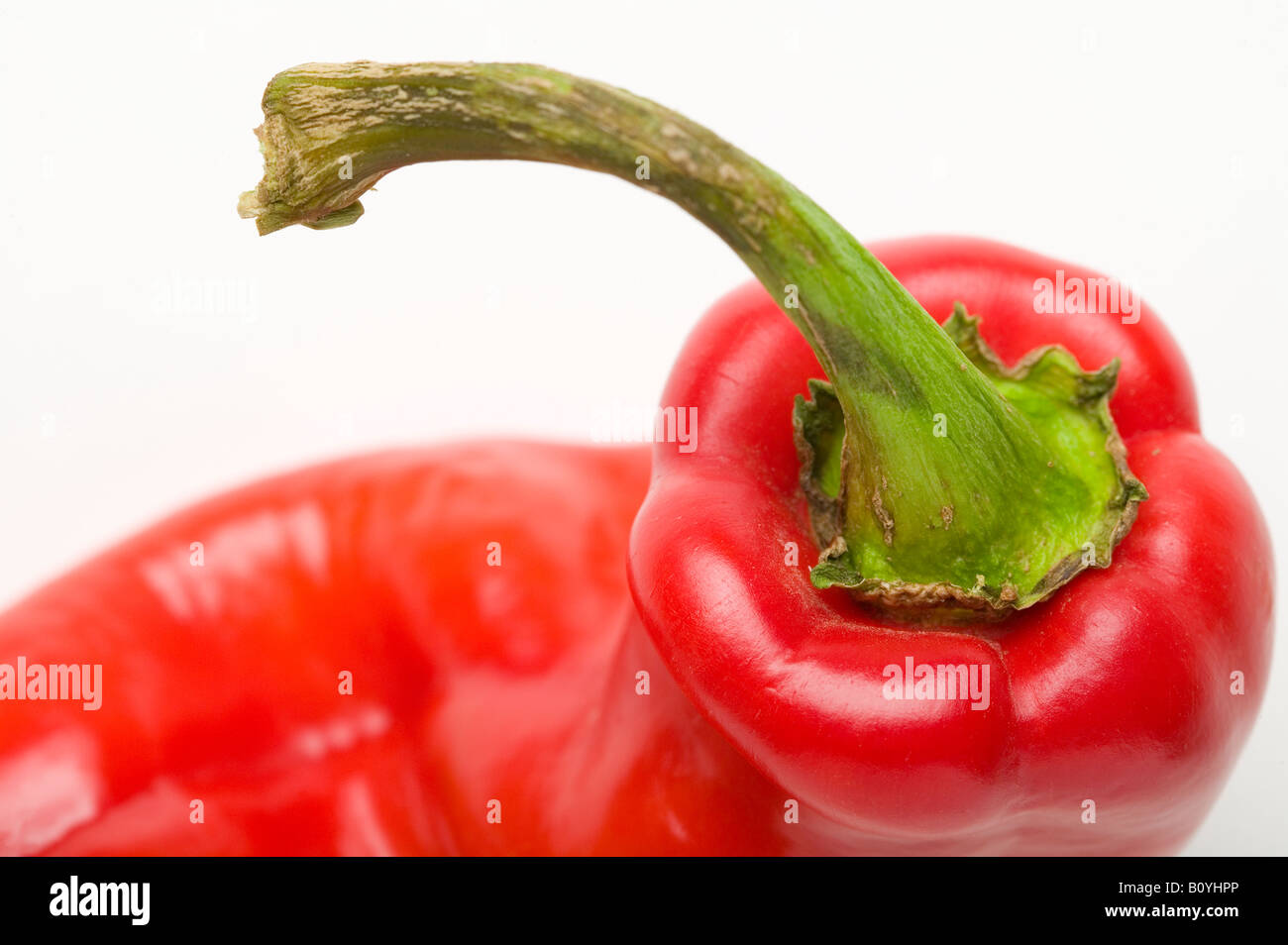 Red Chili Pepper Stock Photo - Alamy